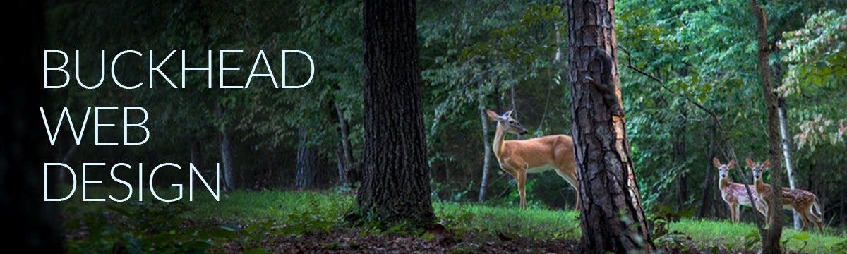 Web Design Atlanta Georgia | Be Original | 770-813-9933 | WebSite ...